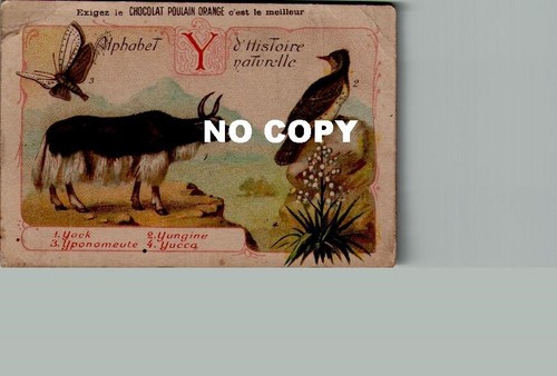 Chromo POULAIN - ALPHABET Histoire Naturelle LETTRE Y : YACK YUCCA ...