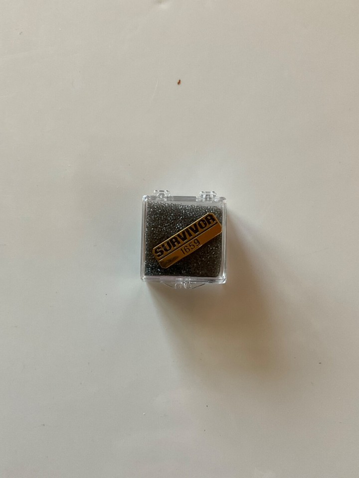 Bloomington Gold Corvette Show "Survivor Award" Owners Pin | eBay