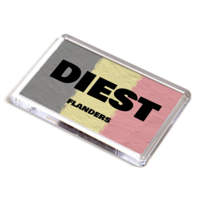 FRIDGE MAGNET - Diest - Flanders - Belgium Flag | eBay UK