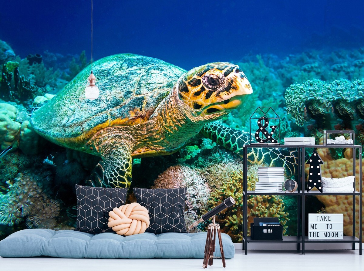 Underwater Sea Turtle Wallpaper Turtle Sea Underwater Free Photo On