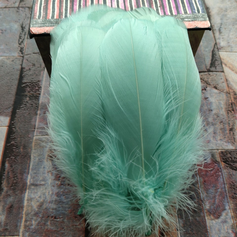 Wholesale 20-100 Pcs Pretty Natural Goose Feathers 12-18 cm/5-7 inches ...