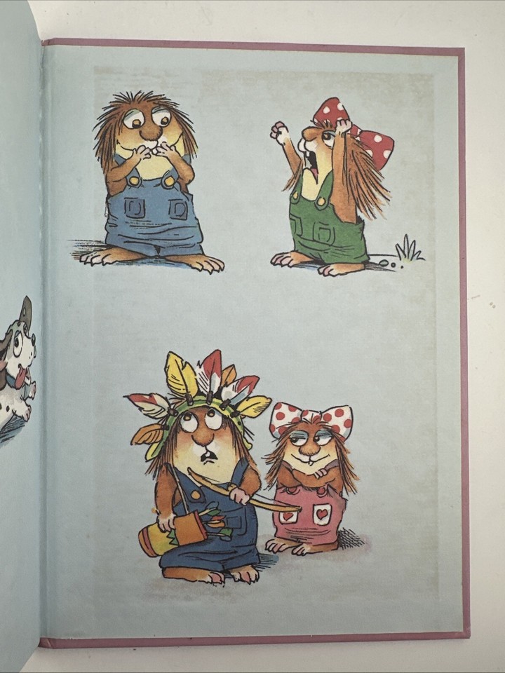Little Critter's Little Sister's Birthday by Mercer Mayer | eBay