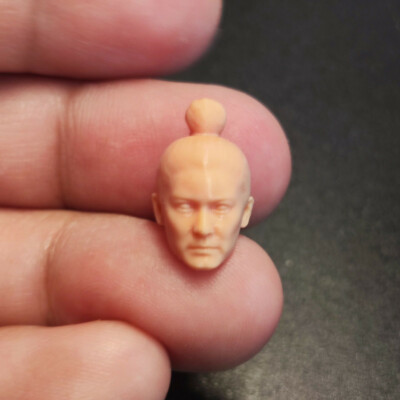 1/24 Scale Invincible Eastern Brigitte Li Head Sculpt Unpainted Fit 2.5 ...