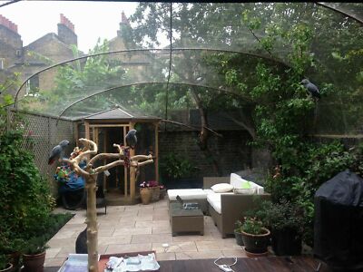 Pigeon Mesh | Pigeon Aviary | Pigeon Enclosure Mesh | Stainless Steel ...