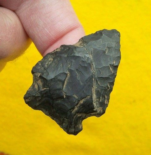1-5/8 HARDAWAY PALMER PENNSYLVANIA ARROWHEAD Authentic Projectile Point ...