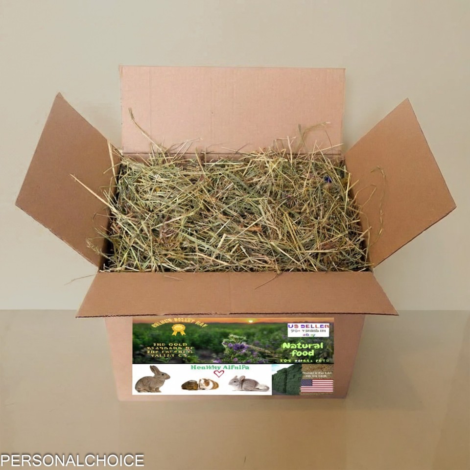 Alfalfa Golden Valley Hay for Small Pets Rabbits Guinea Pigs | eBay