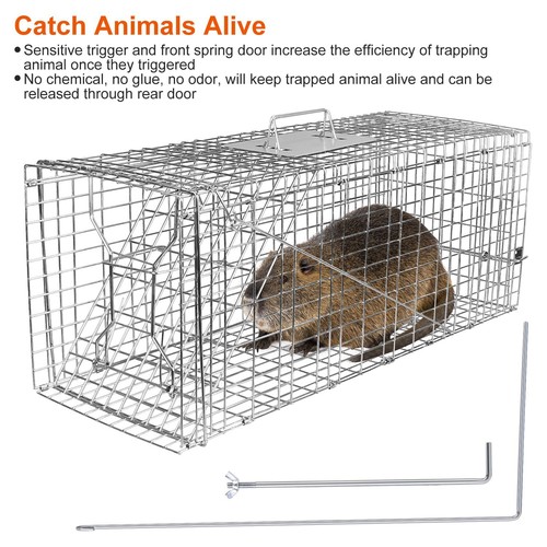 Large Humane Live Animal Trap Control Steel Cage 31"x11"x12" Raccoon ...