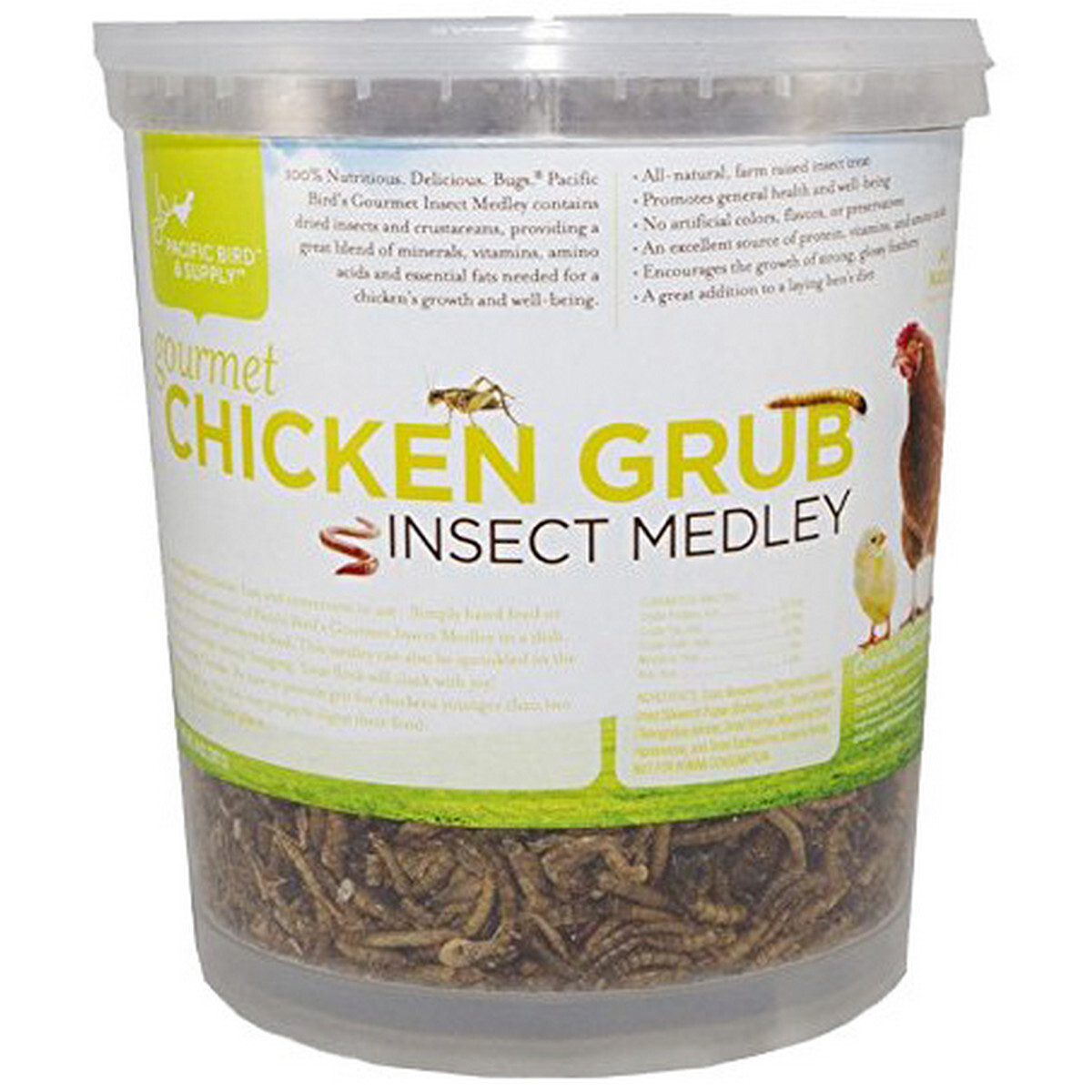 Pacific Bird & Supply Co. Gourmet Chicken Grub Insect Medley - 16 oz ...