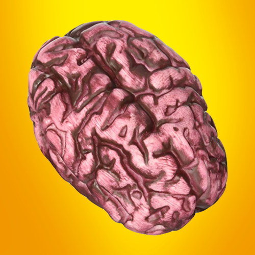 FAKE BRAIN - Magic & Party Tricks | eBay Australia