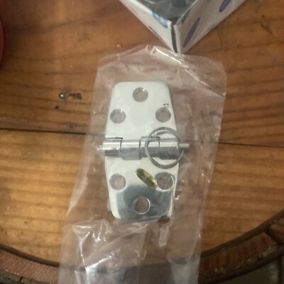 Qty=10) - Seaworld Highly Polished Stainless Steel Pull Pin Hinge | eBay