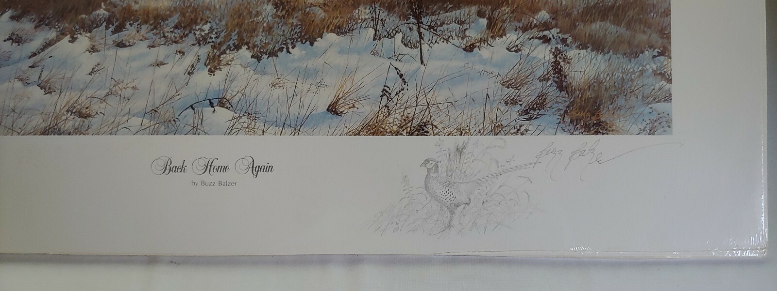 1985 REMARK Buzz Balzer SIGNED "Back Home Again" Print 41/300 Pheasant ...