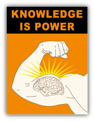Knowledge Is Power Humor Funny Slogan Car Bumper Sticker Decal | eBay
