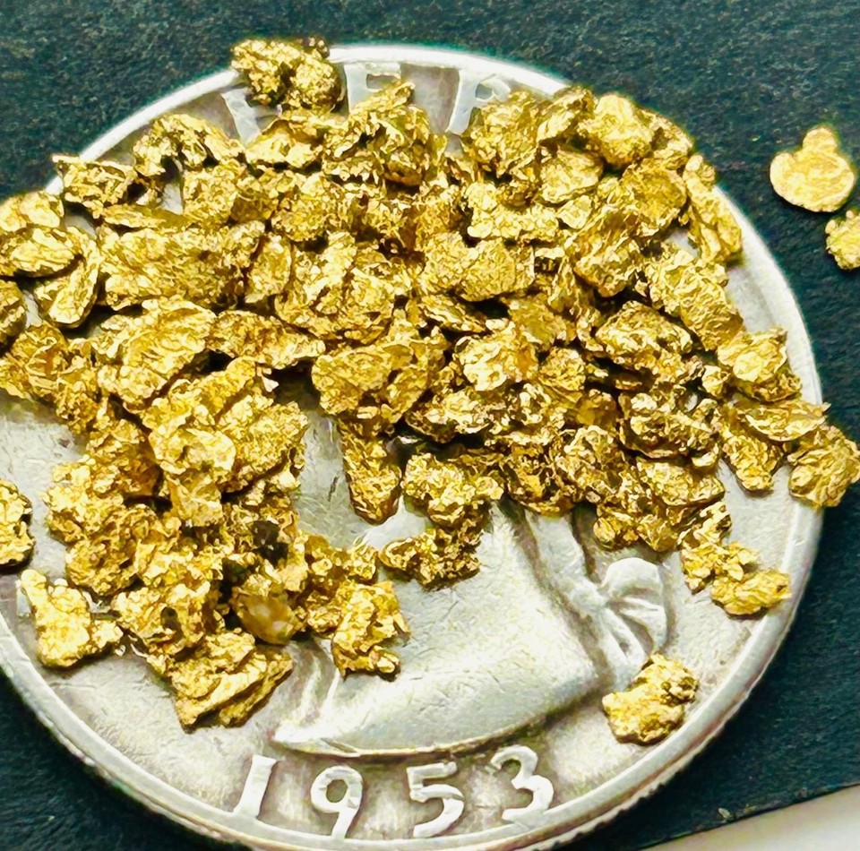 GOLD NUGGETS 5.018 GRAMS Alaska Natural #20-50 Mesh Mammoth Creek Hi ...