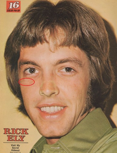 Rick Ely pinup Partridge Family Susan Dey Jeremy Gelbwaks Suzanne ...