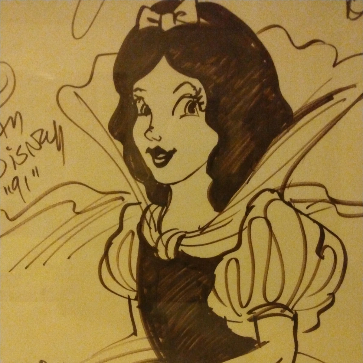 Disney Princess Pencil Drawing
