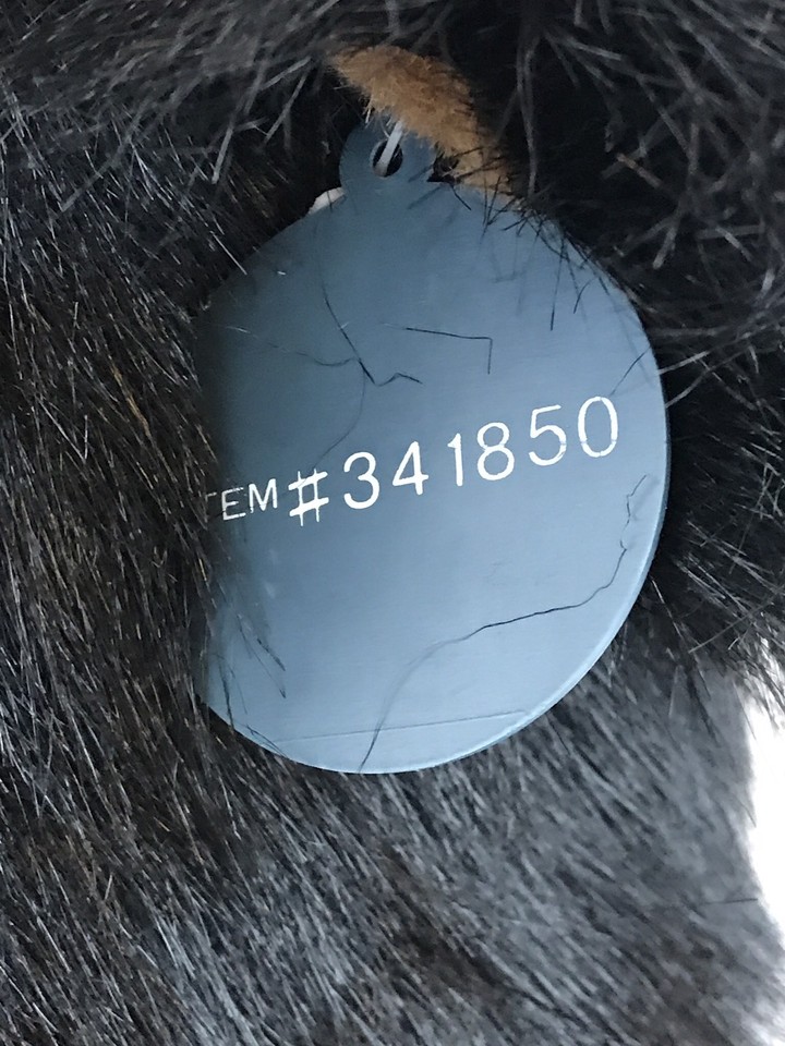 Vintage Chrisha Creation Limited Playful Plush Extra Large Black Bear ...