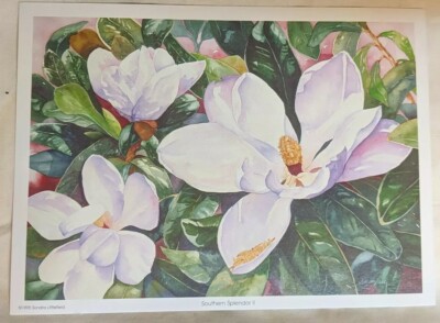 Magnolia Watercolor Print "Southern Splendor II" by Sondra Littlefield ...