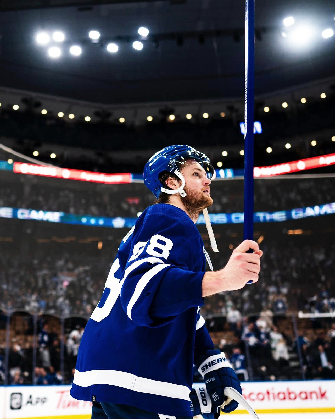 William Nylander Stick Raise Toronto Maple Leafs 8x10 NHL Hockey Photo ...