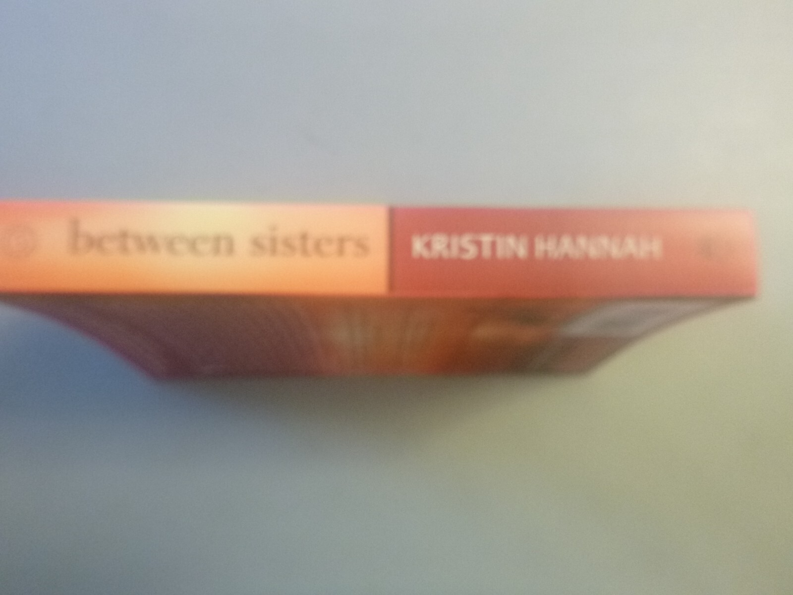 Between Sisters : A Novel by Kristin Hannah (2009, Trade Paperback) for ...