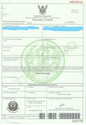 Phytosanitary certificate | eBay