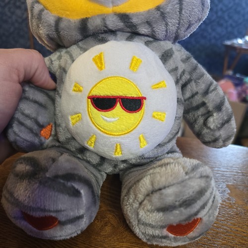 Basic Fun Plush Care Bears Rare Hoodie Funshine Bear Kitty Cat 12" . | eBay