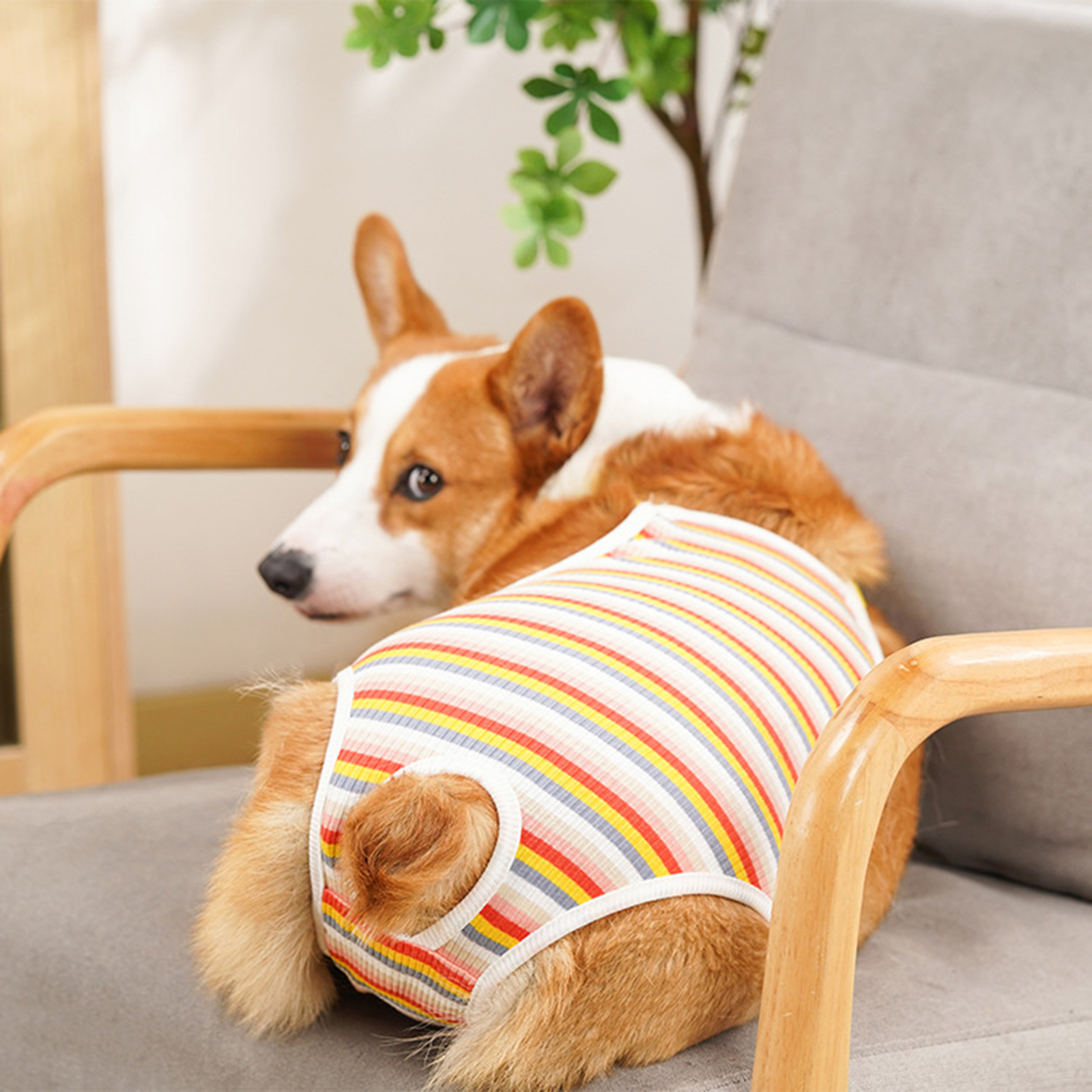 Pet Jumpsuit Exquisite Hemming Anti-seepage Drip Dog Underwear Pet ...