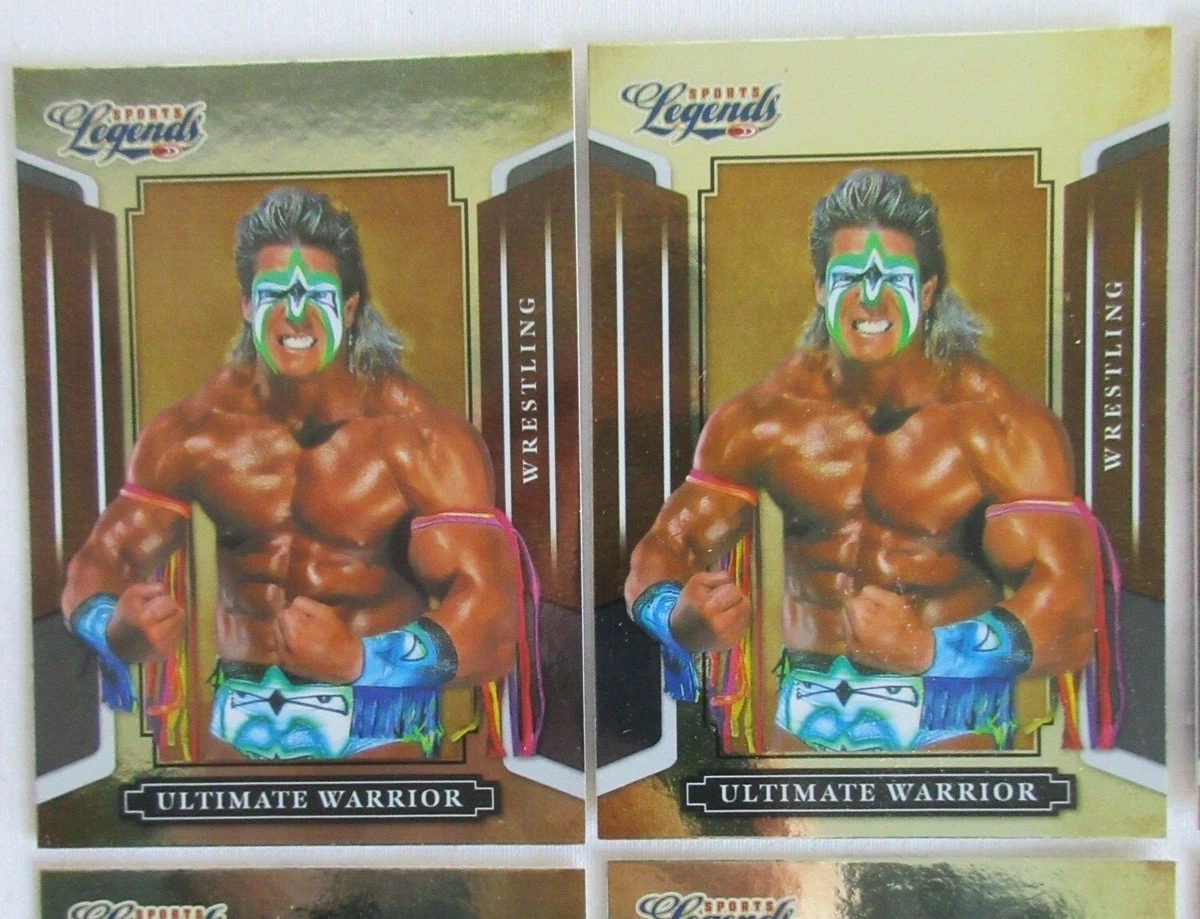 Ultimate Warrior 2008