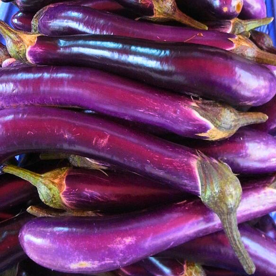 Fresh Chinese Eggplant Seeds | Ping Tung | Heirloom Non-GMO | Asian ...