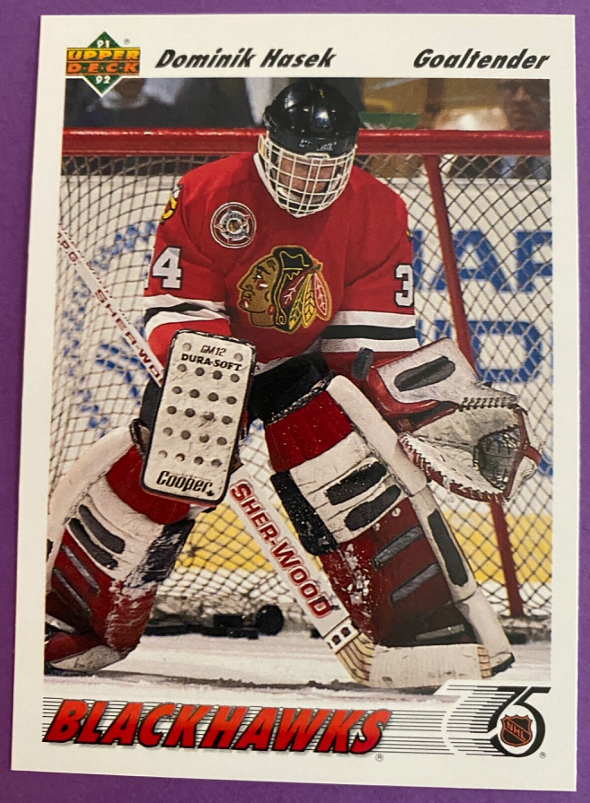 Dominik Hasek UD 1991-92 Rookie Card # 335 Excellent Condition | eBay