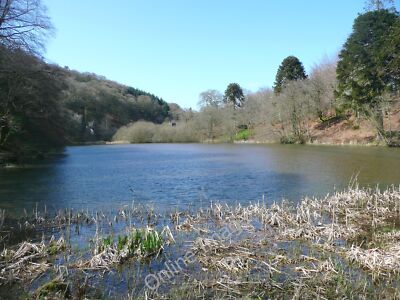 Photo 6x4 The lake on the River Yeo, Arlington Arlington/SS6140 The ...