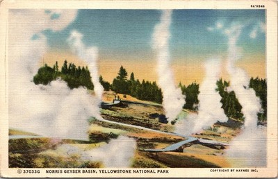Norris Geyser Basin Yellowstone National Park WY c1938 Haynes Postcard ...