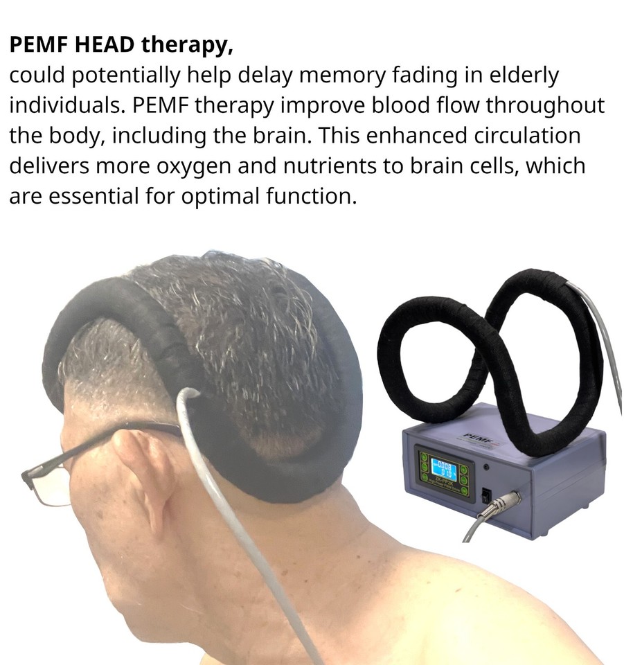 PEMF Therapy, Oval Curve Coil Loop hypertension arthritis Pain Relief ...