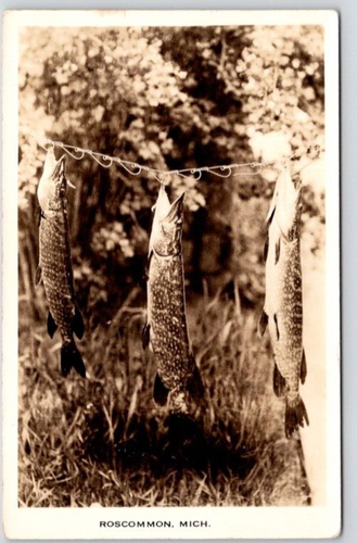 POSTCARD RPPC FISH (PROBABLY PIKE) ON A STRING ROSCOMMON MICHIGAN | eBay