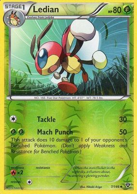 Ledian 7/146 XY Base Set REVERSE HOLO PERFECT MINT! Pokemon | eBay