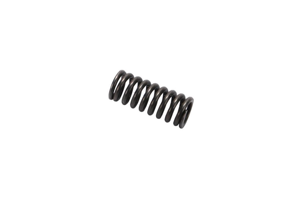 GM Genuine Parts 14082096 Manual Transmission Shift Shaft Detent Spring ...