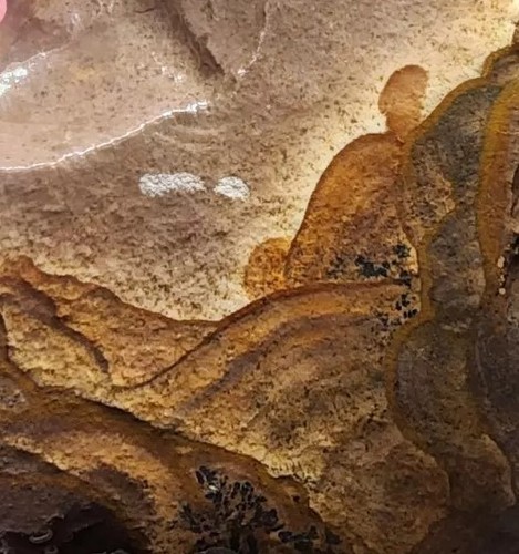 Blue Biggs Jasper Picture Jasper Rare Lapidary Cut Rough From Oregon ...