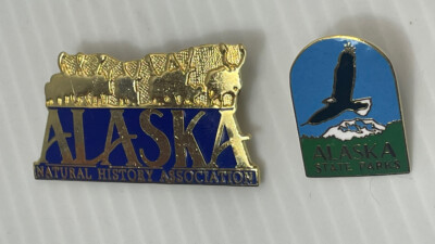 Vintage Lot Of Alaska Enamel Pins state park bald eagle moose | eBay