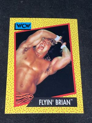 1991 Impel WCW #55 Flyin Brian Pillman Wrestling Card | eBay