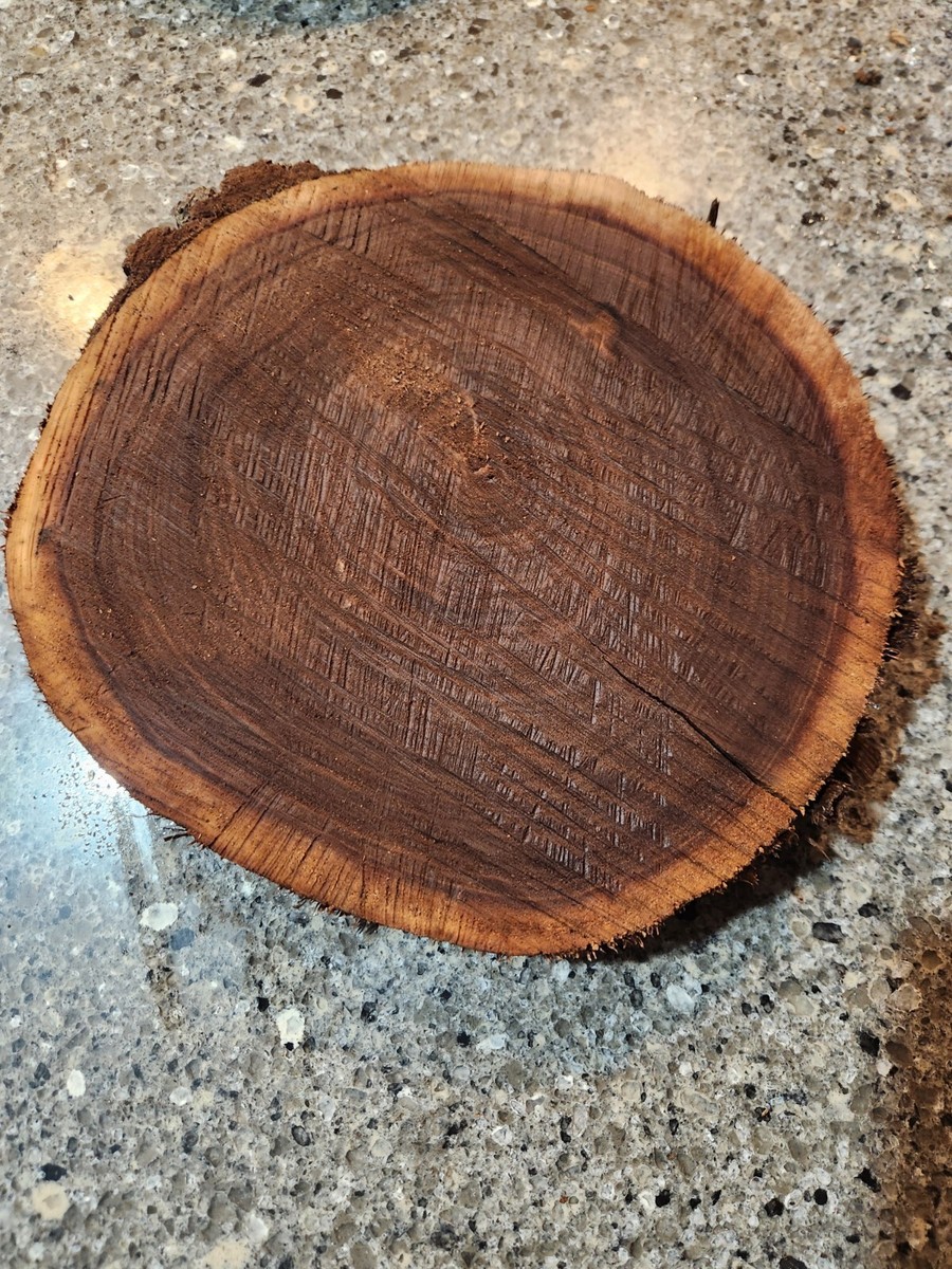 Walnut Rounds 1