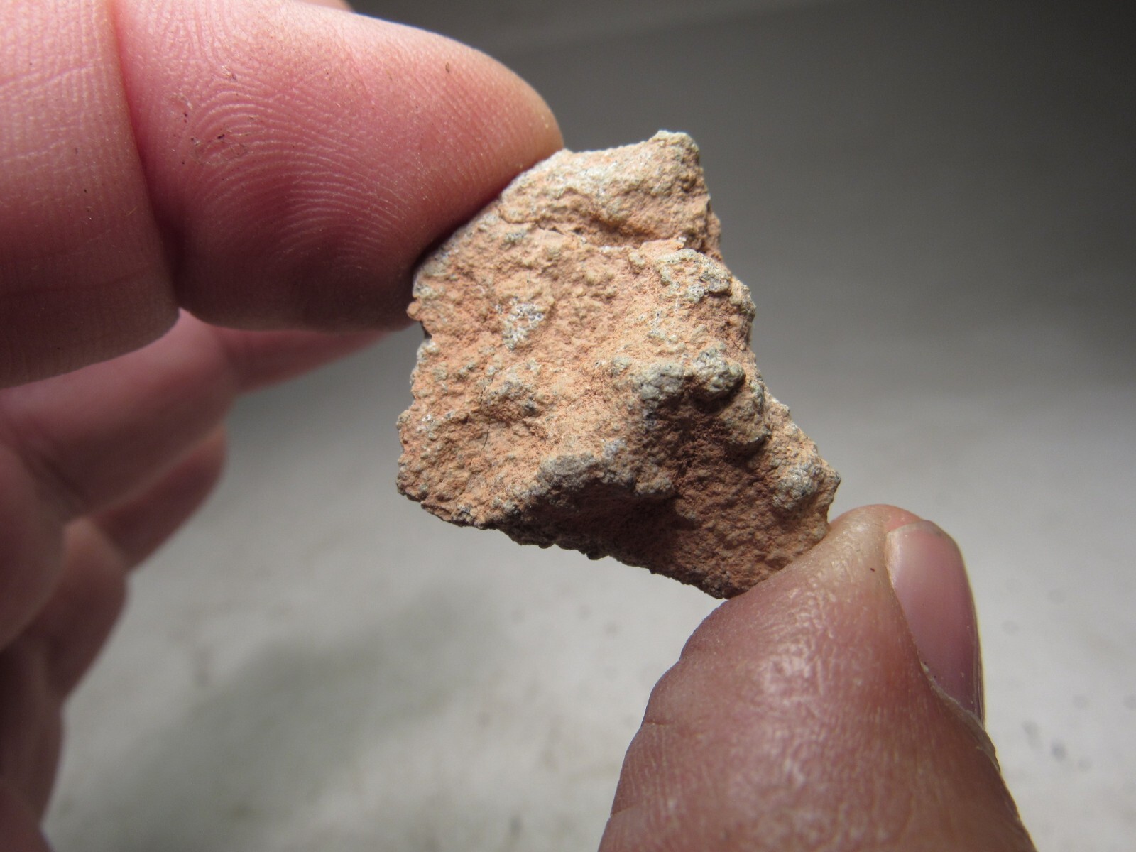 MUSEUM QUALITY! MAGNIFICENT NWA 12241 MARTIAN SHERGOTTITE METEORITE! 12 ...