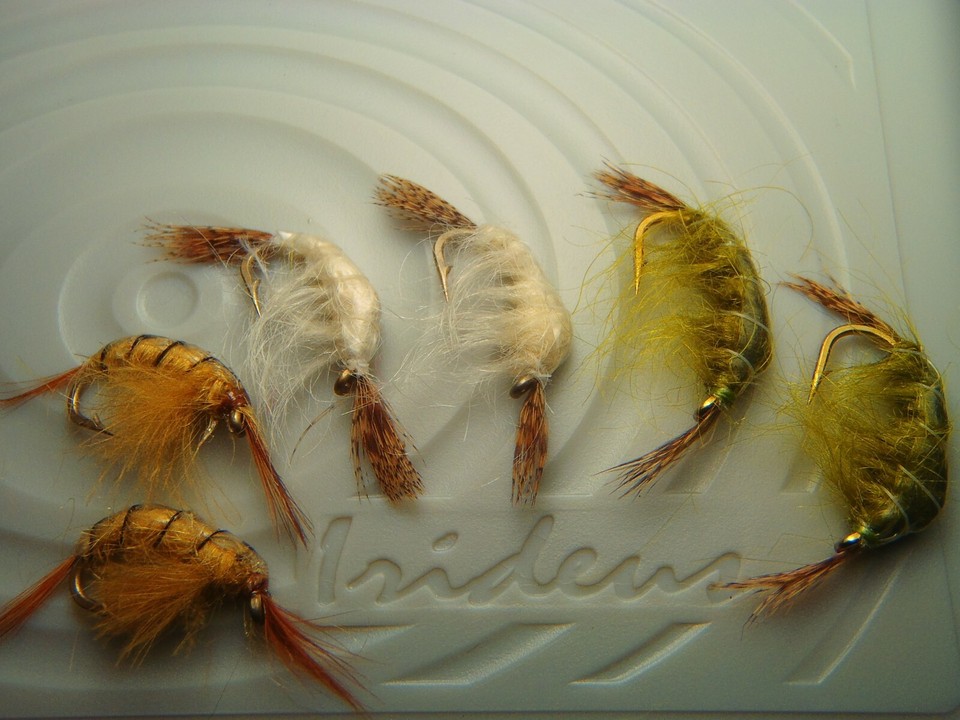 Irideus Czech Nymph Scud Ghost Shrimp Leggy Steelhead Trout Nymphing ...