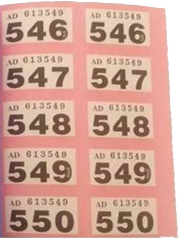 Raffle Cloakroom Tickets 1000 Books Tombola Draw bIngosupermarket Brand ...