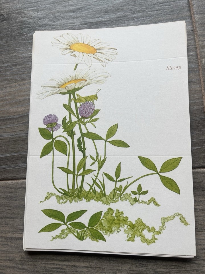 Vintage Daisy Time Stationary Paper & Cards Mixed Partial Set 32 Pieces ...