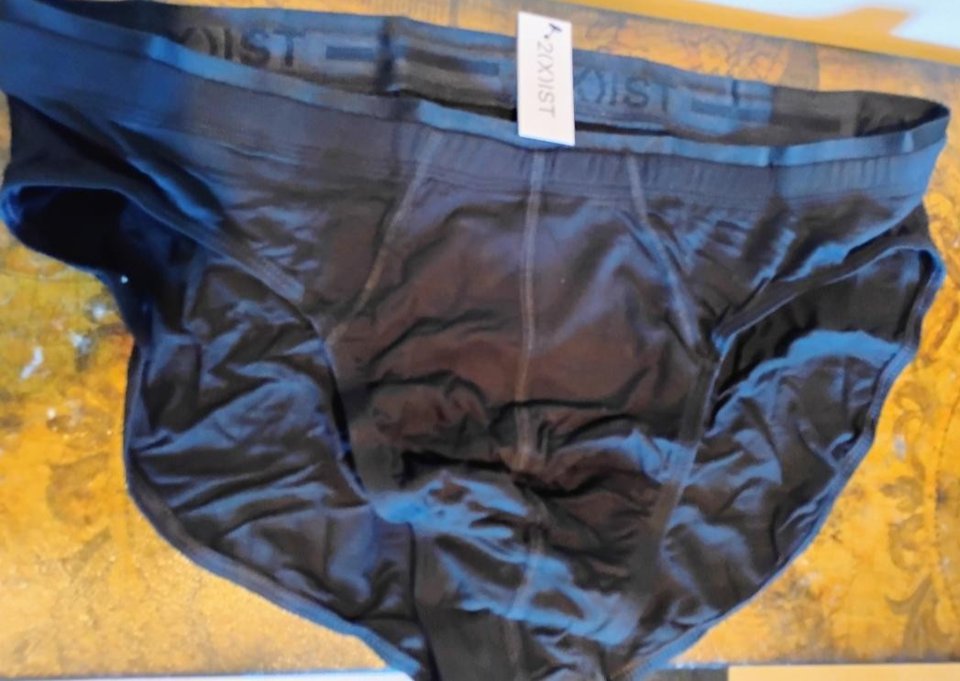 2Xist Luxe Modal Low Rise Brief Mens Underwear XLarge MINT FREE SHIP ...