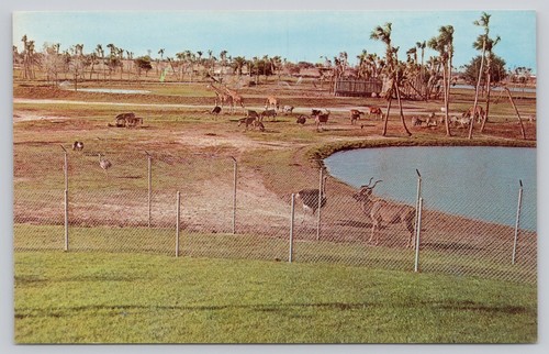 The African Veld From Swiss House Balcony Busch Gardens Tampa Florida ...