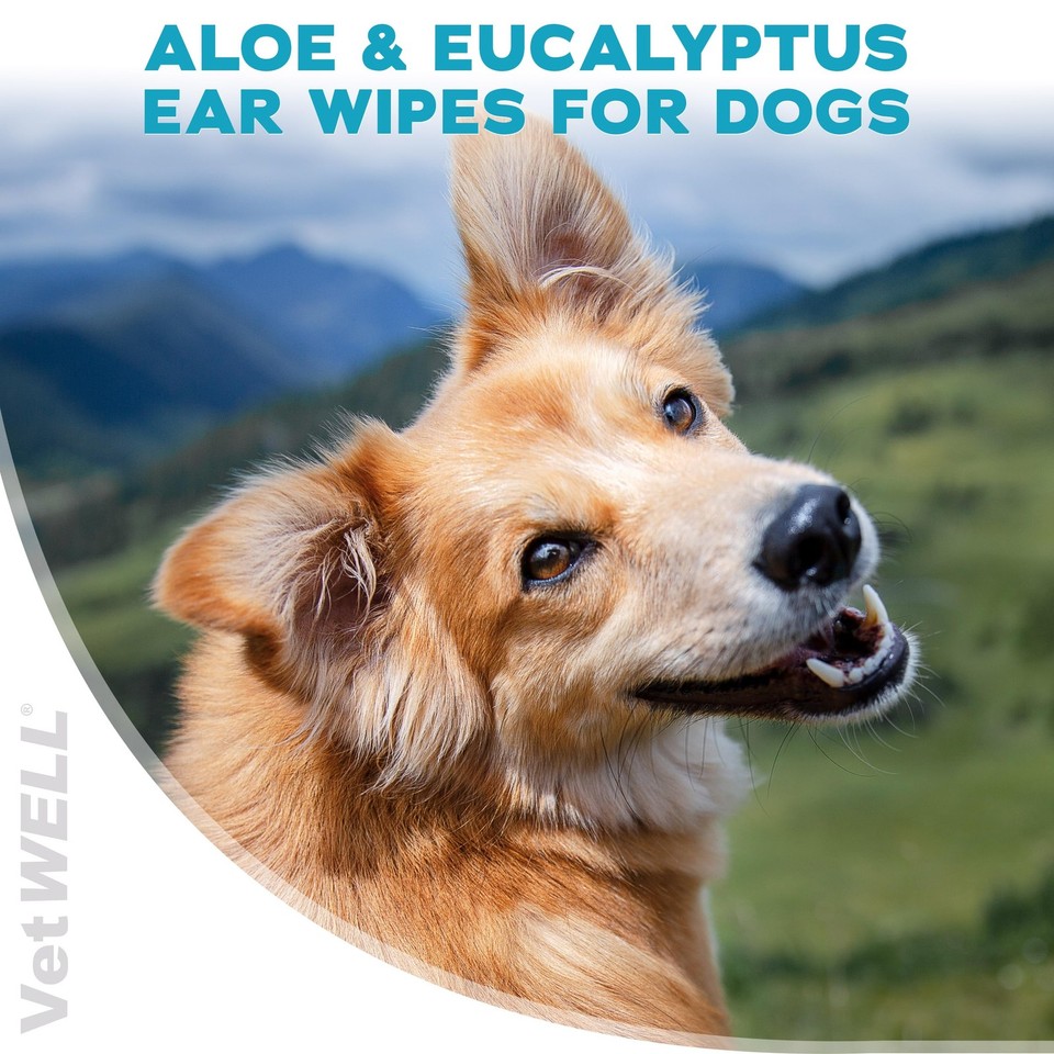 EarWELL by VetWELL Dog Ear Wipes - Otic Cleaning for Infections White ...