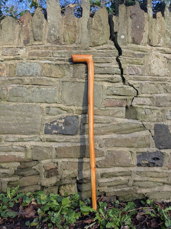 Beautiful Yew Shillelagh Wood Walking Stick Classic Handle Unique ...