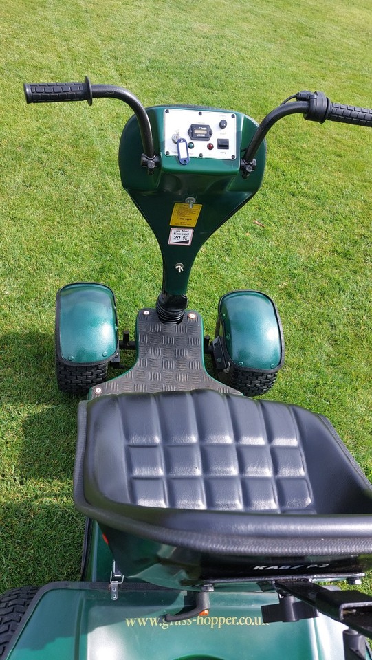 Grasshopper Cobra Golf Buggy 24v lithium Battery and Charger | eBay UK