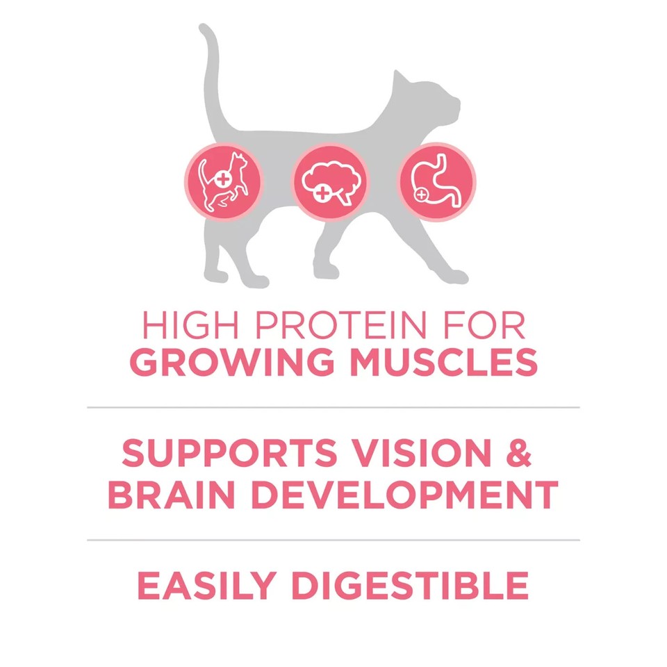 2 Pack Purina One +Plus Healthy Kitten Formula Dry Cat Food for Kittens ...