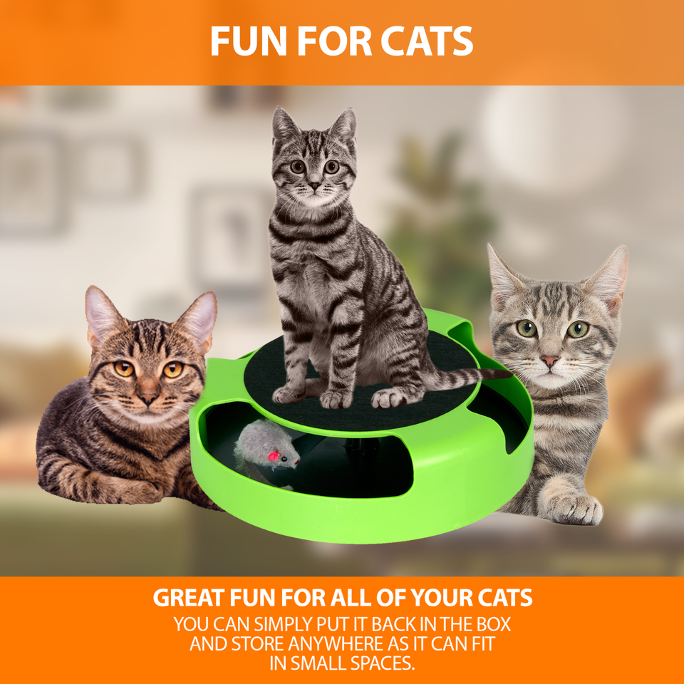 CAT KITTEN CATCH THE MOUSE PLUSH MOVING TOY SCRATCHING CLAW CARE MAT ...